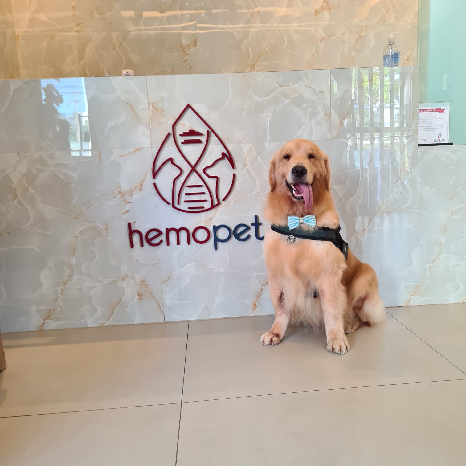 Sobre Nós – Hemopet